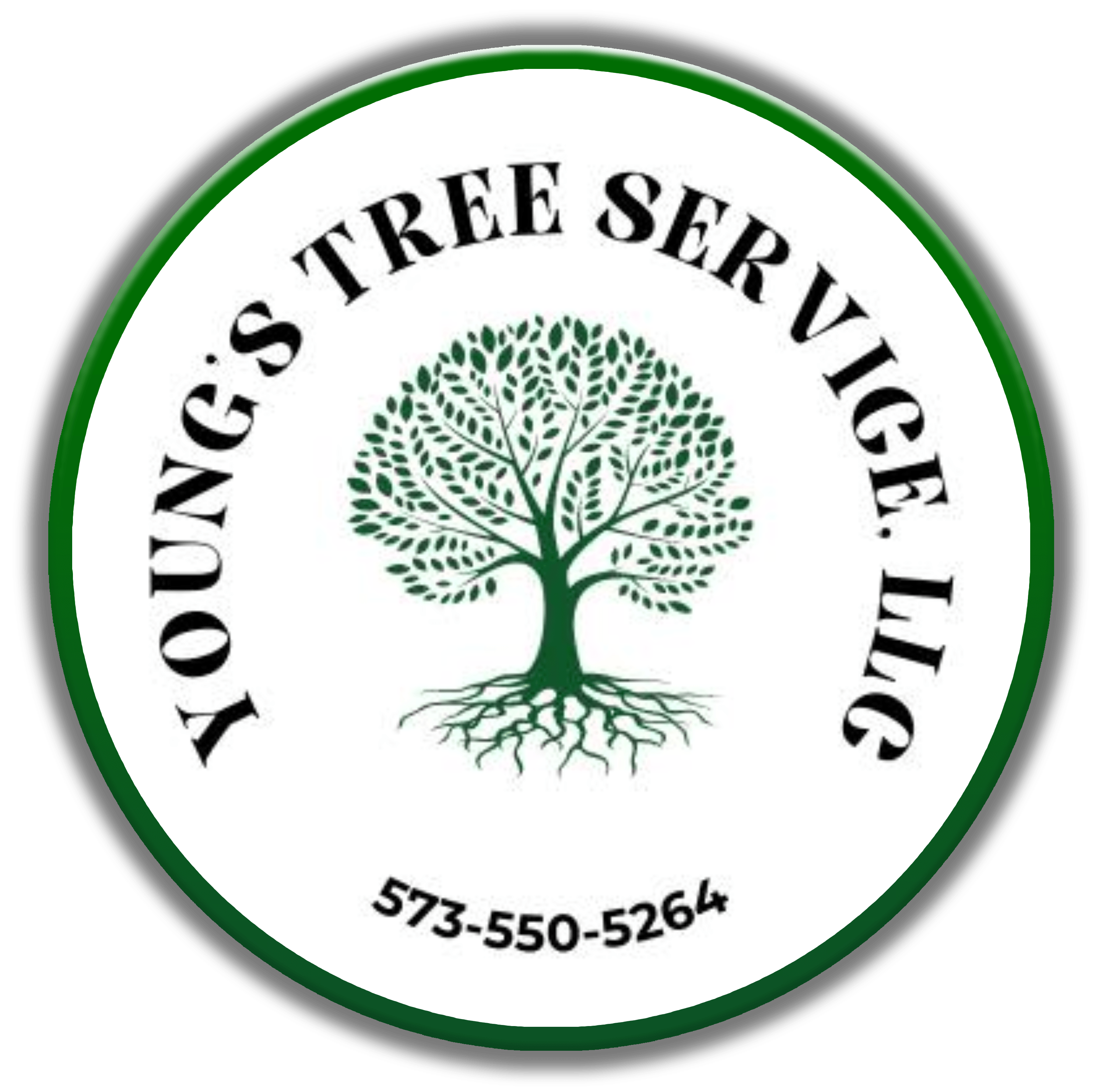 Young's Tree Service Offers Tree Services in Fulton, MO 65251